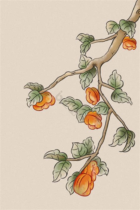 柿子菊花秋天丰收霜降png下载 包图网