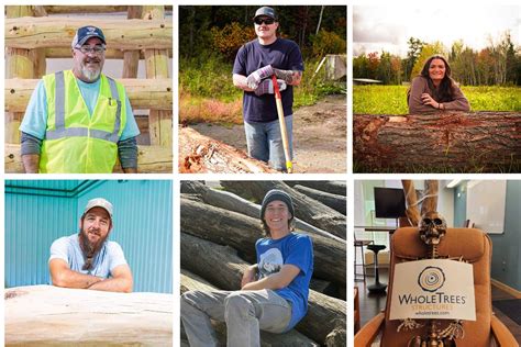 Wholetrees® Structures On Linkedin Architecture Architecturephotography Masstimber