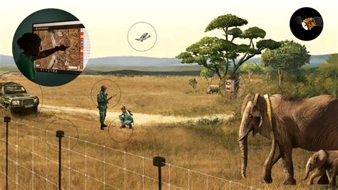 Vulcan And Tableau Team Up To Protect The Planet With Earthranger Data