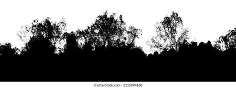 Naked Tree Images Stock Photos Vectors Shutterstock