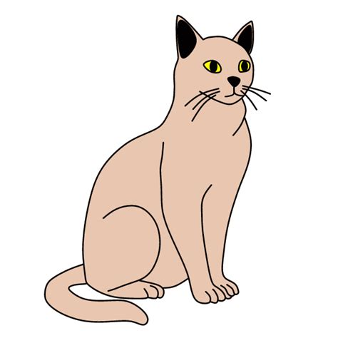 Cat 8 Free Svg
