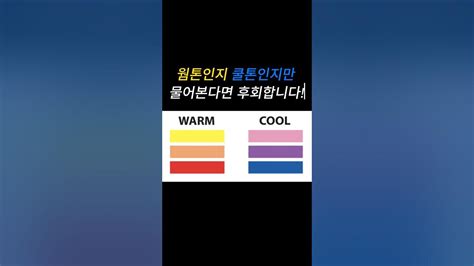 퍼스널컬러 받으러가서 이거 꼭 물어보세요 Youtube