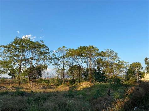 1947年，特务头子丁默邨被蒋介石亲口判处死刑，只因去了这个地方国民党伪政府李士群