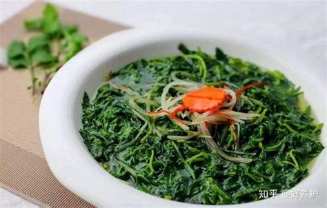 观赏食用兼有的菊花脑是菊花么 知乎