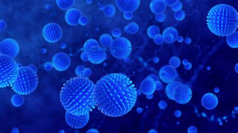 현미경 적혈구 및 바이러스 박테리아 감염 3d 렌더링 건강 관리 의료 및 과학 개념 혈액의 입자 인체 과학 생물학 미생물학에 대한 스톡 사진 및 기타 이미지 Istock