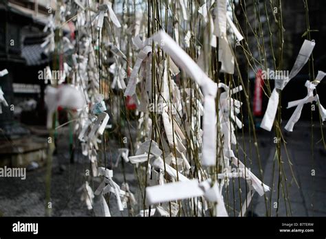 Good Luck Tree Hi Res Stock Photography And Images Alamy