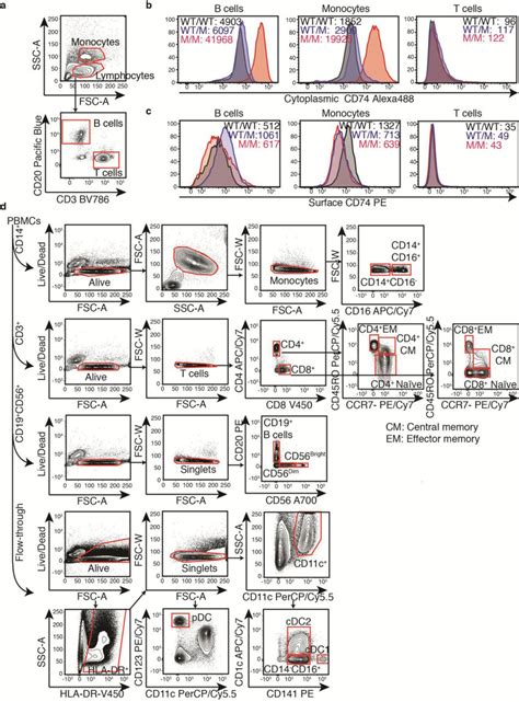 Intracellular Versus Surface Expression Of Cd74 In B Cells T Cells