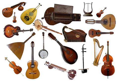 Percussion Instruments String Instruments List With Pictures And Names