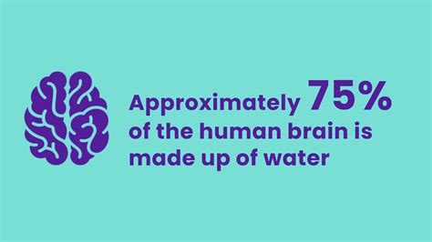 Why Hydration Is Important For Healthy Brain Function Uk