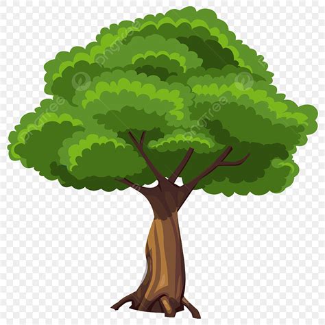 12 Gambar Kartun Pohon Jambu Kumpulan Gambar Kartun Images And Photos Finder