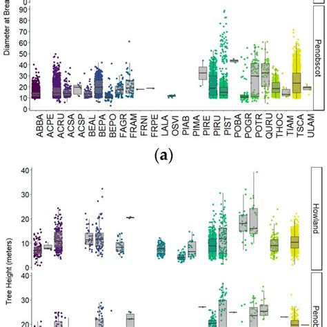 Plots Of Individual Tree Diameters At Breast Height By Species Summary Download Scientific