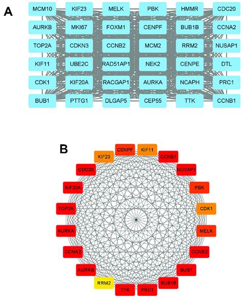 Sub Module Analysis Of Ppi Network A Sub Module Network Analyzed By