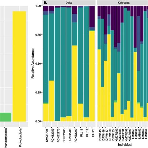 Absolute Frequencies In All Samples A And The Relative Abundances Of