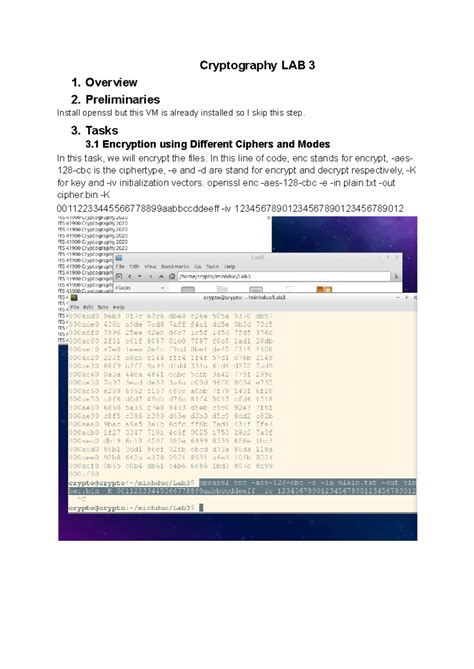 Cryptography Lab 32 Lab 3 Cryptography Lab 3 1 Overview 2