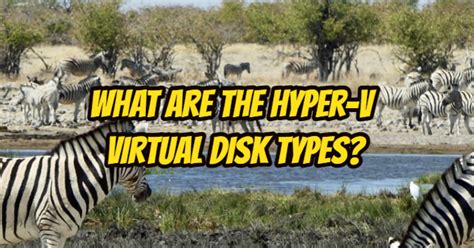 What Are The Hyper V Virtual Disk Types Systemconf