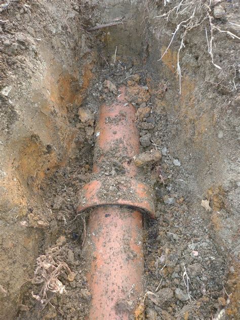 Can Someone Explain The Idea Behind Treating Sewer Lines With Tree Root Killer Every Months