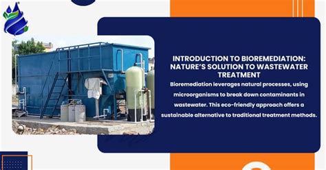 Introduction To Bioremediation Natures Solution To Wastewater