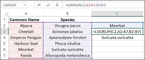 excel s lookup functions and approximate matching windsong training