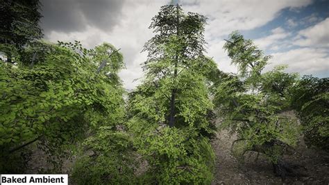 Unity Foliage Rendering Tips And Tricks Unity Engine Unity Discussions