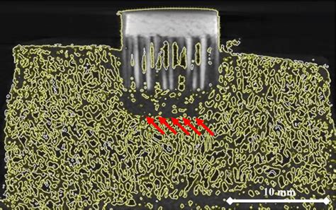 Micro Ct Reconstructed Specimen Of Bone With The Embedded Msc Scaffold Download Scientific