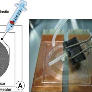 Scheme And Result Demonstrating Sample Injection Employing A Disposable Download Scientific