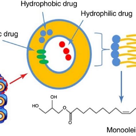 A Nanomaterials As Carrier For Drug Delivery At Dermal Site B Download Scientific Diagram
