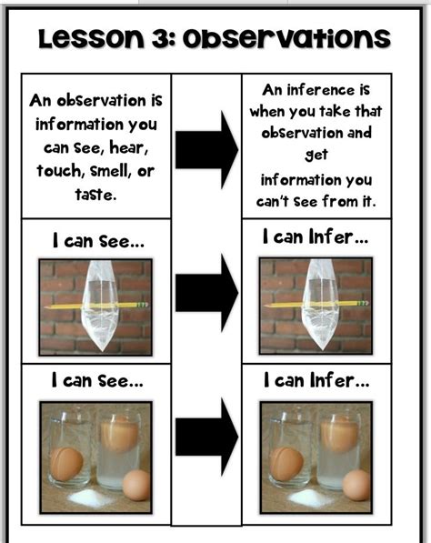 Science Observation And Inference Worksheet