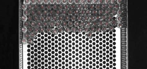 mvtec expands halcon functionality with deep learning features imaging and machine vision europe