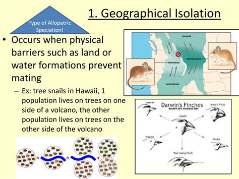 Ppt 152 Species And Speciation Overview Powerpoint Presentation Id2141229 Ppt 152 Species And Speciation Overview Powerpoint Presentation Id2141229
