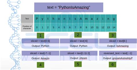 Explain Python Slice Strings Accuweb Cloud