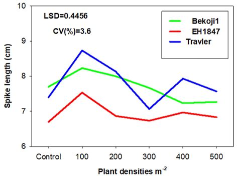 Interaction Effect Of Varieties And Plant Densities On Spike Length Of