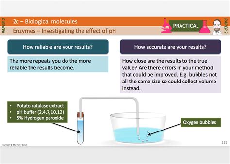 Section 1 And 2 Presentation Bundle Igcse 9 1 Biology