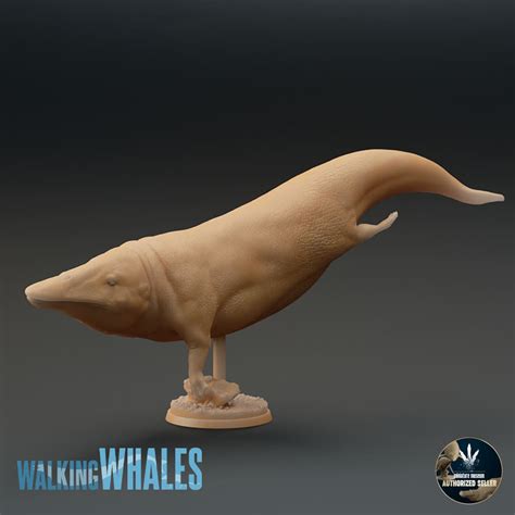 Protocetus Atavus Dinosauriacreatures