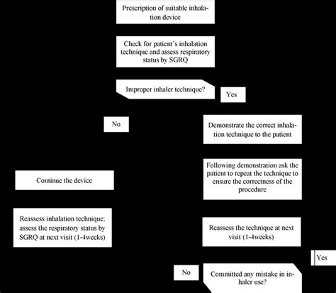 Ensuring Correct Inhalation Technique And Assessment Of Respiratory