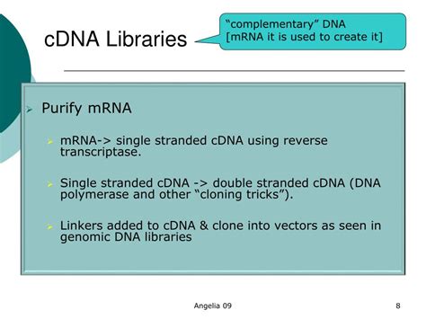 PPT CDNA Library PowerPoint Presentation Free Download ID 1416088