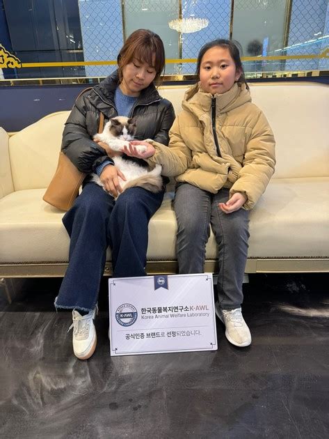 렉돌 빨강 말티즈크기 말티푸크기 푸들크기 먼치킨크기 랙돌크기 브리티쉬숏헤어크기 스코티쉬폴드크기 러시안블루크기 강아지크기 고양이크기 유기견임시보호 유기묘임시보호 강아지임시보호