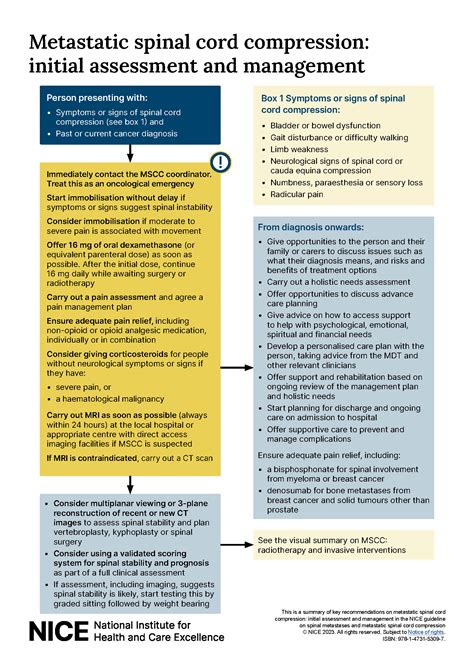Overview Spinal Metastases And Metastatic Spinal Cord Compression