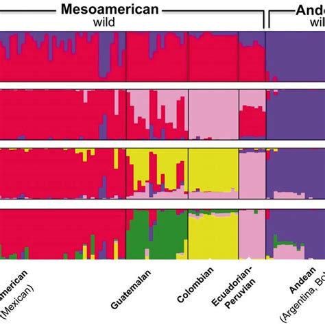 Population Structure Analysis For 104 Wild Accessions Of Common Bean