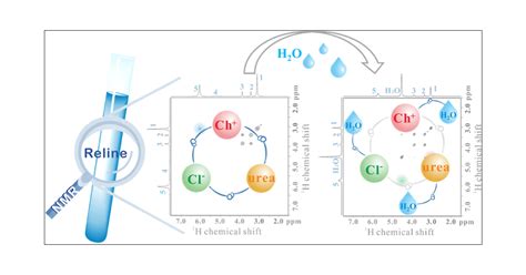 Insight Into The Molecular Structure Interaction And Dynamics Of