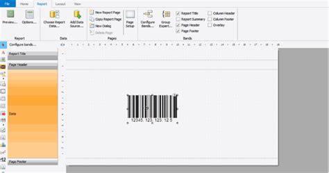 Fastreportnet Winforms 20211