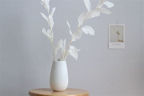 드라이플라워 프리저브드플라워 화이트 루스커스 한 줄기 오늘의집 쇼핑