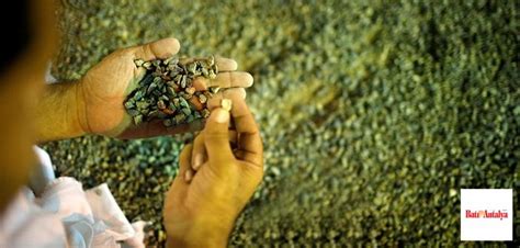 Cemre Nedir Ne Zaman Düşer