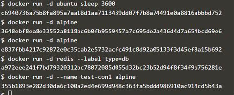 Docker Ps How The Ps Command Works In Docker With Examples