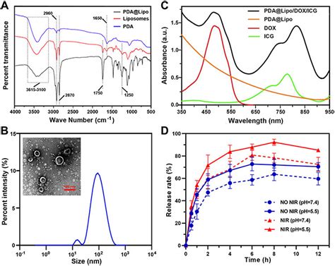 A Ftir Spectra Of Blank Carriers Pda Liposomes And Pda Lipo B Download Scientific