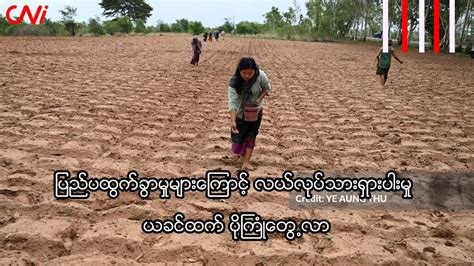 ပြည်ပထွက်ခွာမှုများကြောင့် လယ်လုပ်သားရှားပါးမှု ယခင်ထက် ပိုကြုံတွေ့လာ Youtube