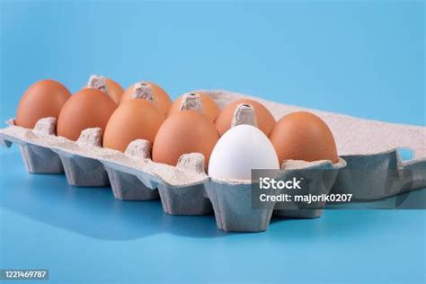 파란색 배경에 패키지에 원시 닭 계란 공간을 복사합니다 텍스트를 위한 공간 가금류에 대한 스톡 사진 및 기타 이미지 가금류 가축 갈색 Istock