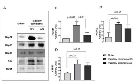 Exosome Characterization A Quantification And Characterization By Download Scientific