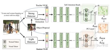 Fast And Effective！一文速览轻量化transformer各领域研究进展 知乎