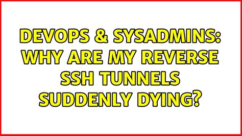 Devops And Sysadmins Why Are My Reverse Ssh Tunnels Suddenly Dying