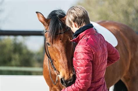 Rtrt Technique In Practice Module 3 Onehorselife